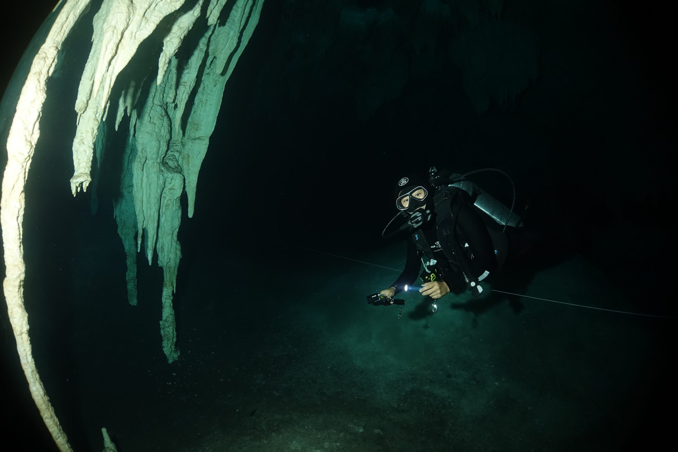 Intro Dive | DAYDIVE Intro Dive | DAYDIVE